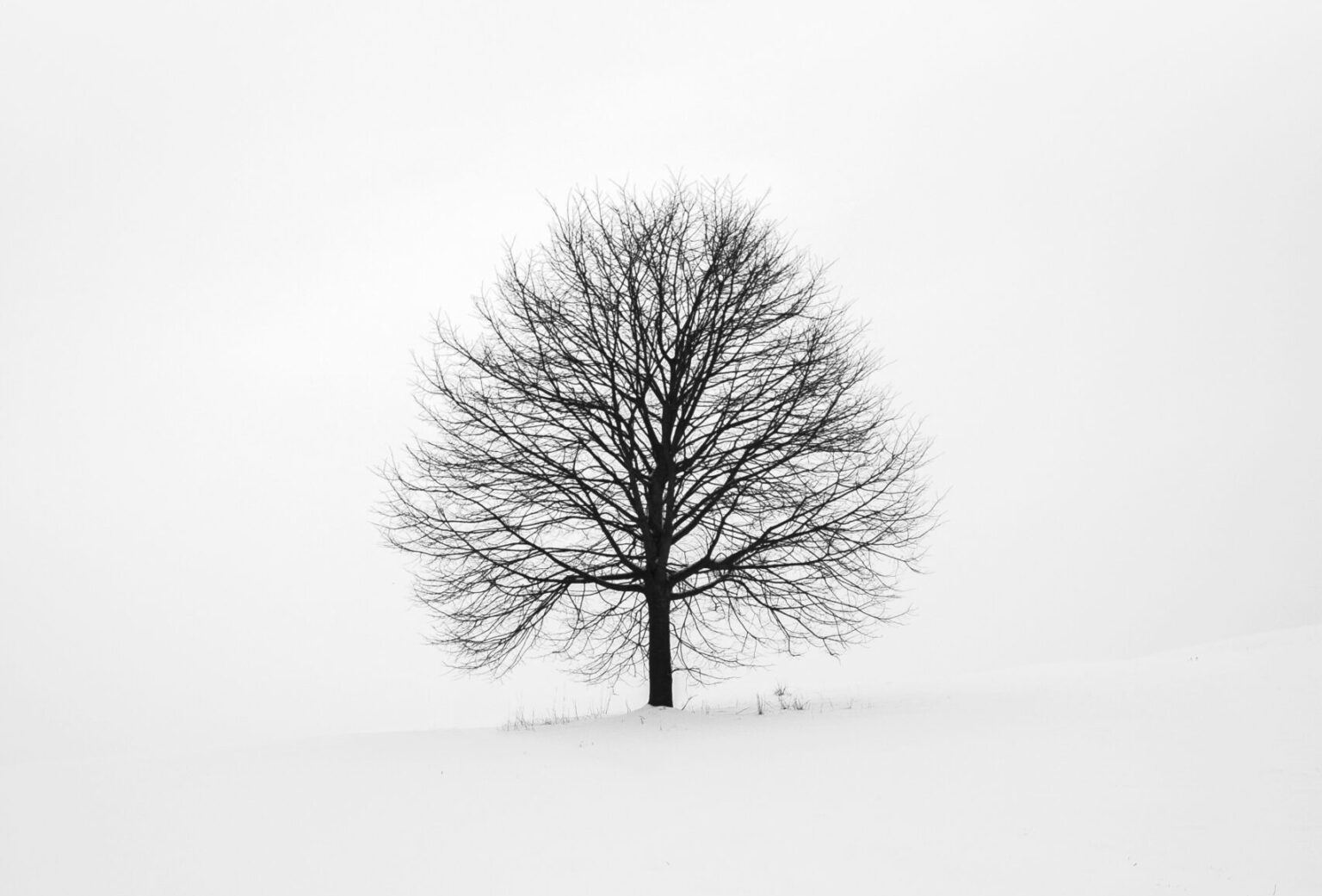 Twitter(X)アカウント購入の基礎知識と注意点【販売歴3年の現役業者が解説】 | twitterサービス専門店